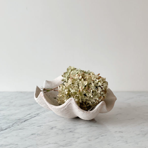 Cast Clam Shell – Homesong Market